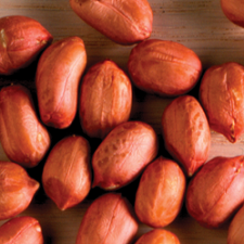 Peanuts runner 40/50 – Peanuts, Oils & Foodstuffs